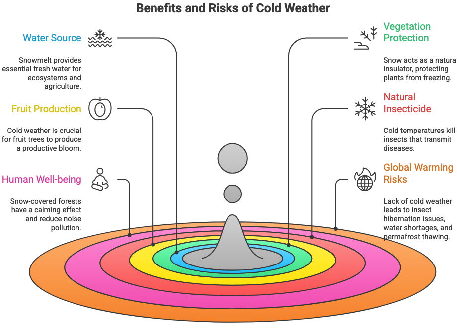 ¿Le pone de los nervios el invierno? Descubre cómo protege la vida en ...