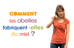 Kezako en LSF - Thot Cursus