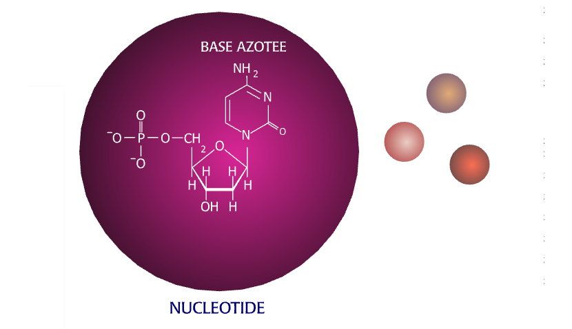 "Space Shelter: Google's cybersecurity game - Thot Cursus