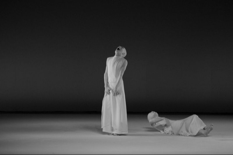 The Amazon is doing the exact opposite of what scientists predicted ...