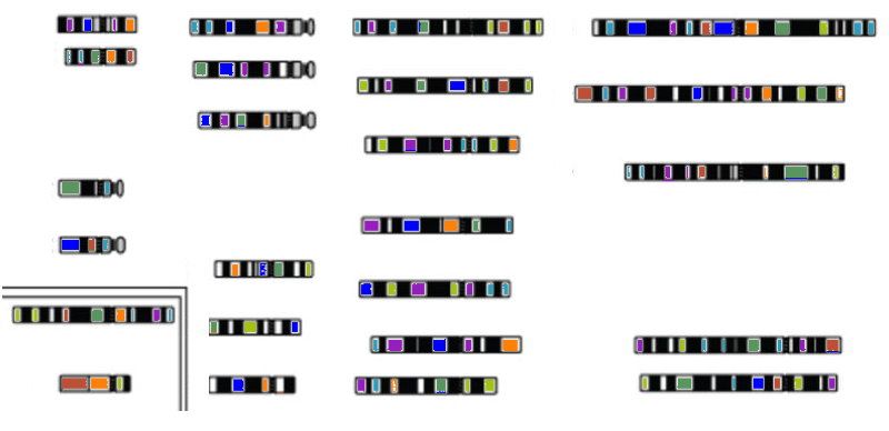 The Reliability Of Ancestry Tests Their Limitations And Uses Thot Cursus