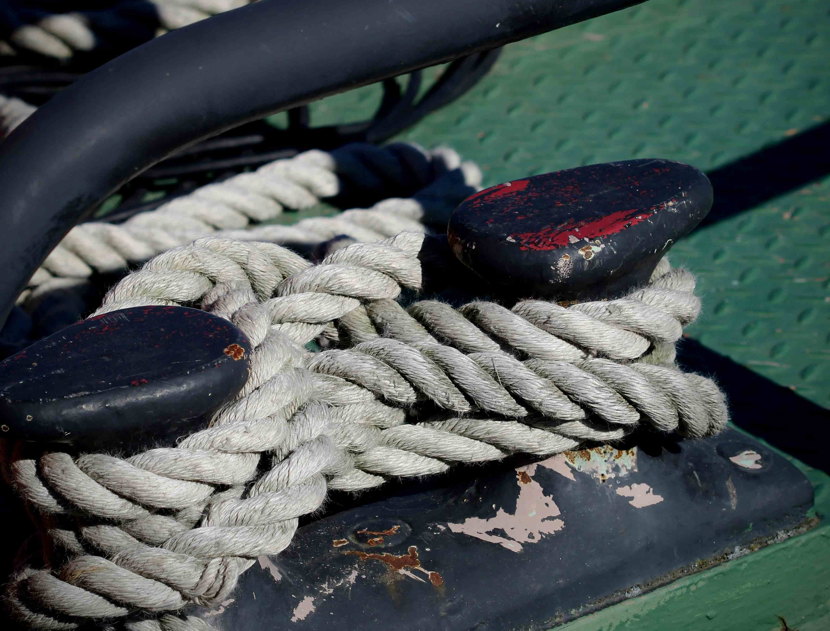 Robustez en las nuevas formas de aprendizaje - Thot Cursus