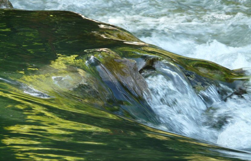 L’apprentissage du flow dans la nature - Thot Cursus