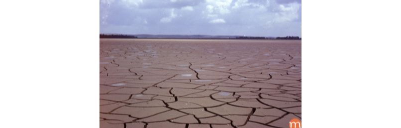 La dégradation des sols dans le monde - Thot Cursus